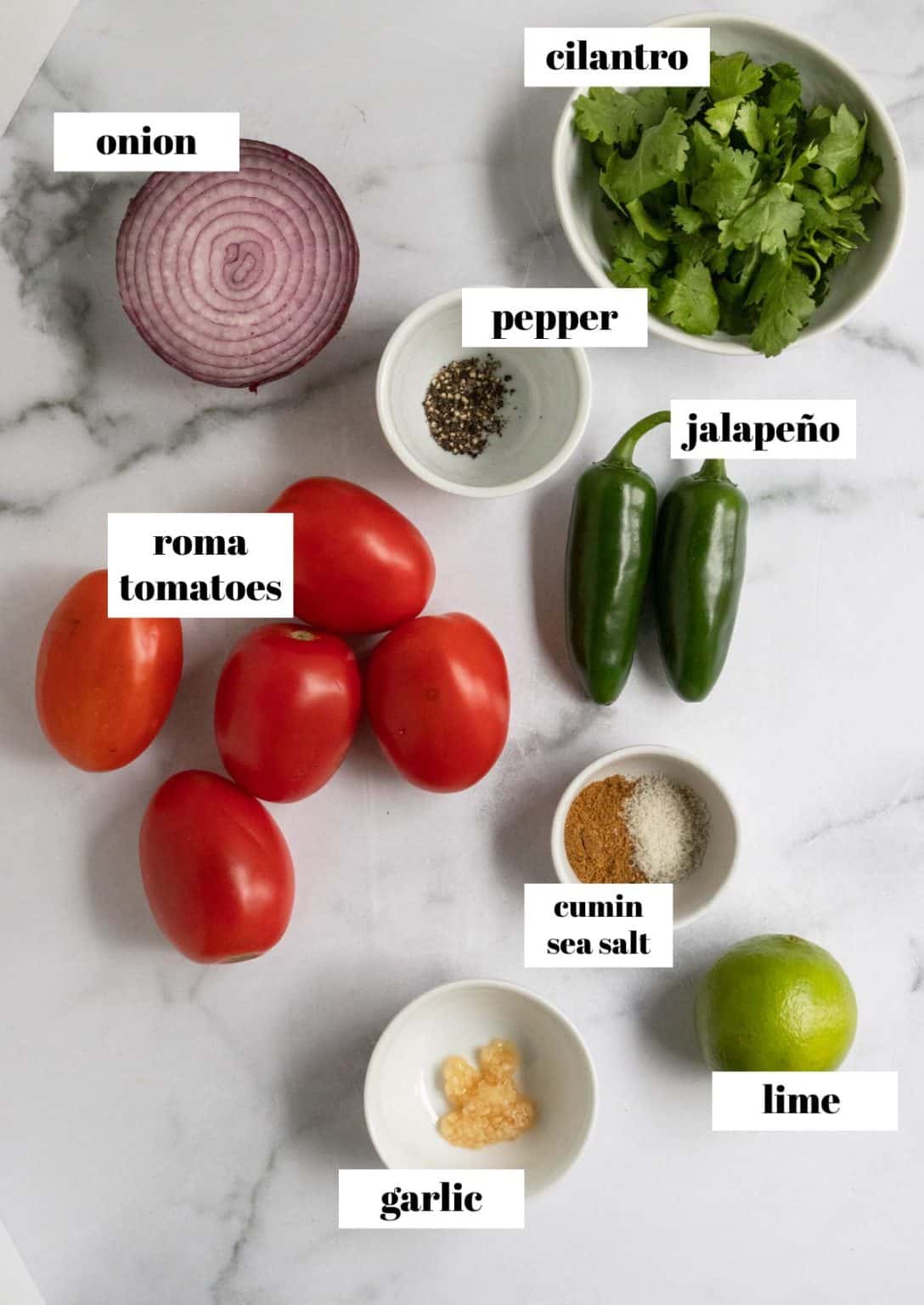 Easy Roasted Tomato Salsa Recipe | Lemons & Zest