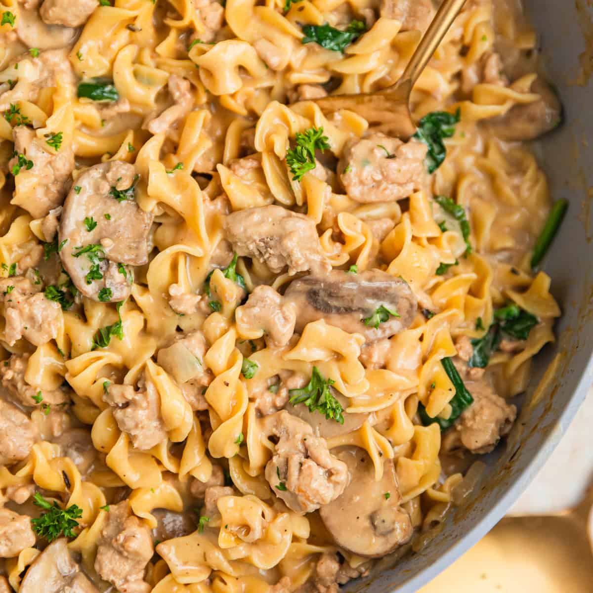 15+ Easy Ground Turkey Dinner Recipes | Lemons & Zest